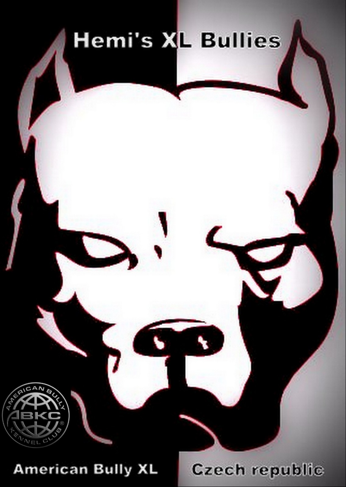 American Bully Xl Abkc American Bully Kennel Club Hemisxlbullies